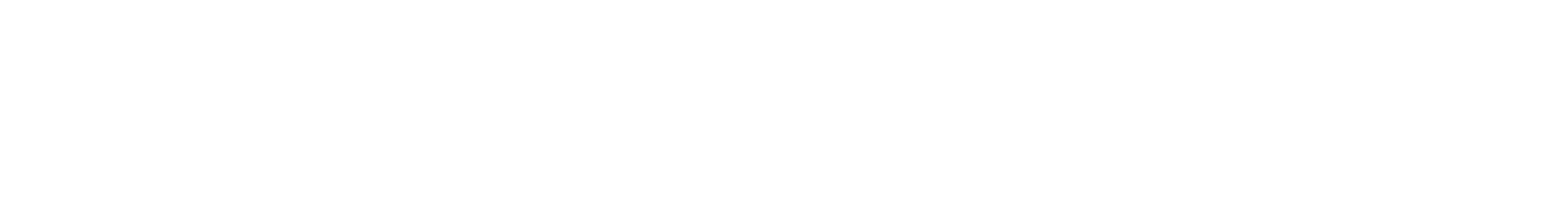 Fluent Commerce logotype